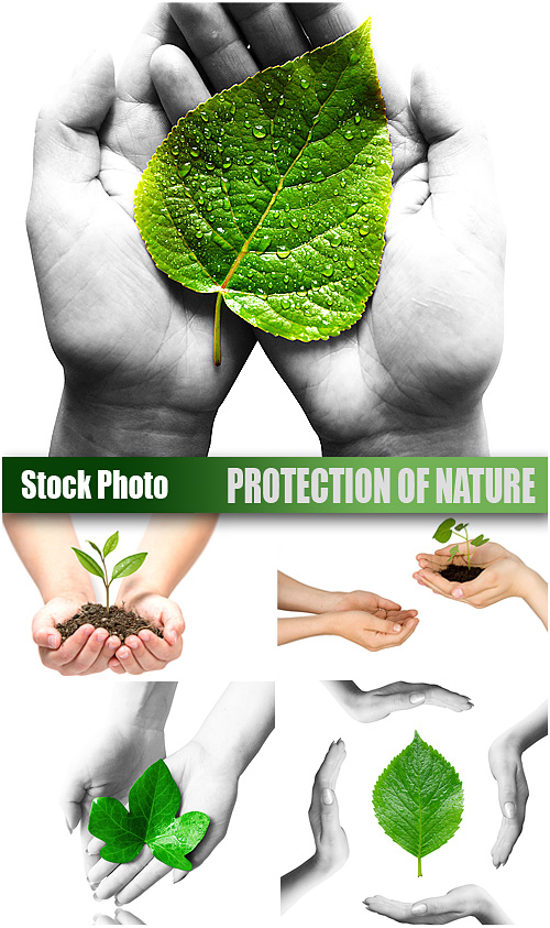Quality Graphic Resources: Protecting Nature - Stock Images