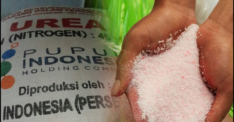 Pengertian dan Komposisi Pupuk Urea - Dackbloom