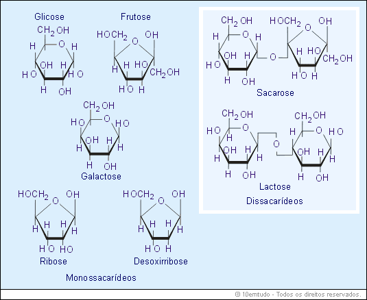 🐶 Química Fisiológica 🐶: Aula 2 - Carboidratos