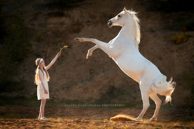 Historia y evolución de la pintura artística : Espectaculares Imágenes ...