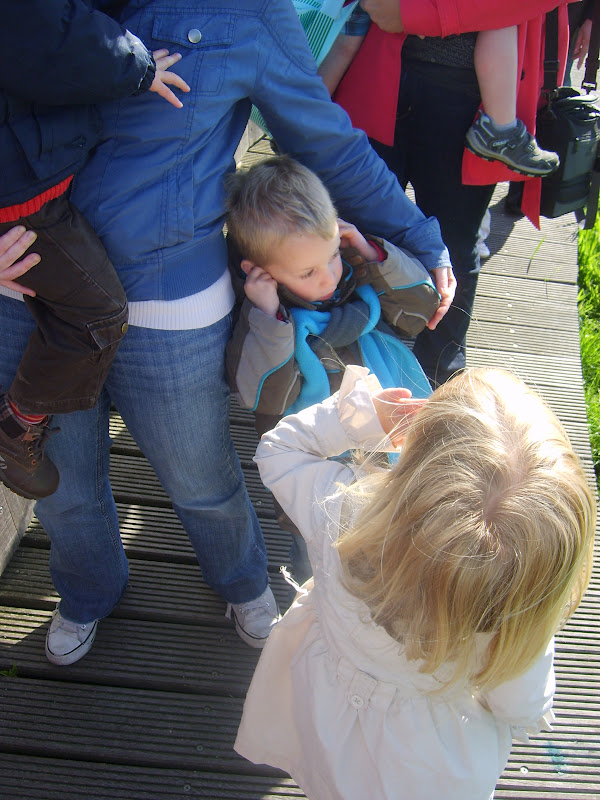 Welkom in de muizenklas!: Thema: "Plons... De vijver in!"