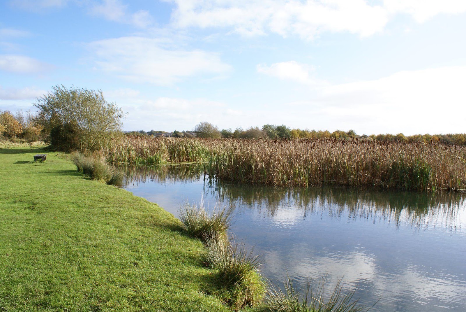 Wapley Bushes Local Nature Reserve: Spoilt for choice of work mornings ...