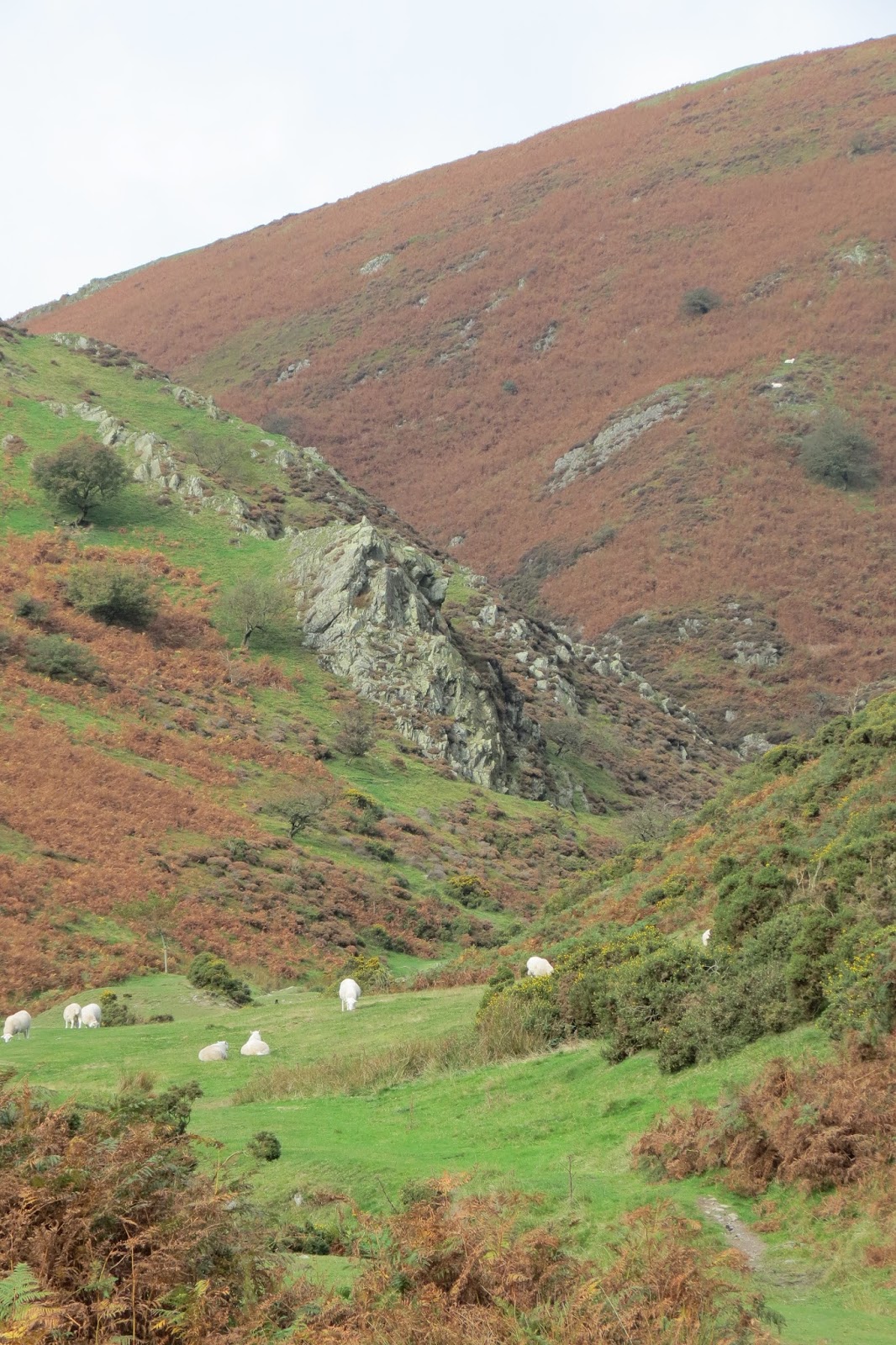 Shropshire Hills: Long Mynd ~ Occasionally Lost