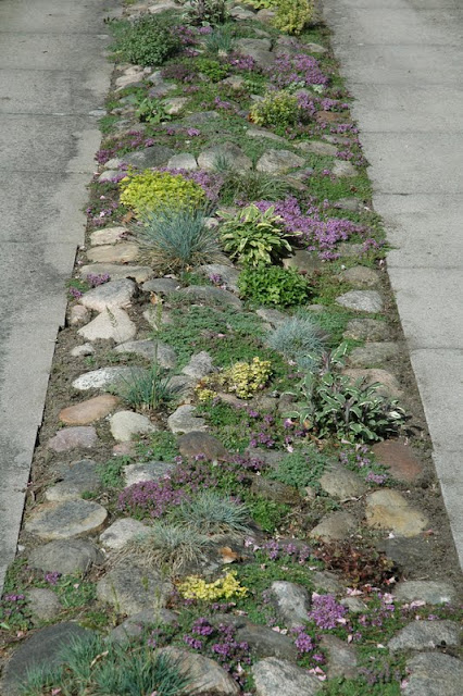 HAVETID: Sten og planter.