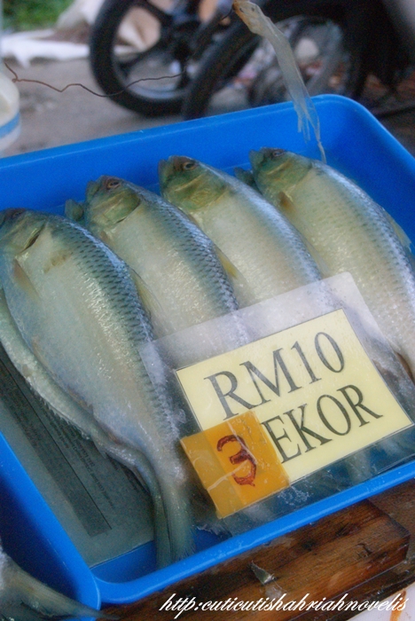 TRAveL And AdVenture Fun VaCations And Best MakaN SAkAN: Kuching ...