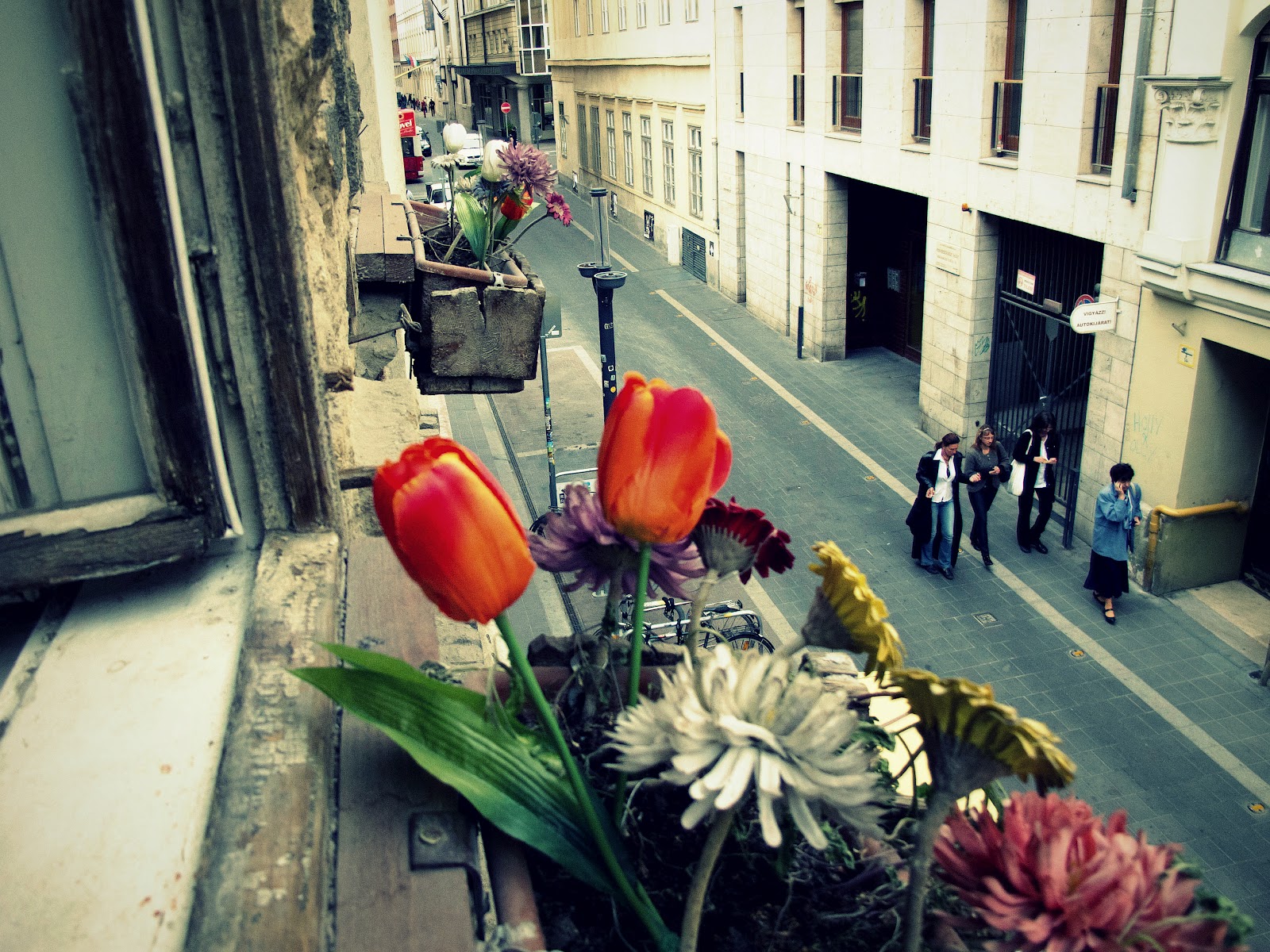 Szimpla: Simply Sunday - market gardened goods at Szimpla Kert