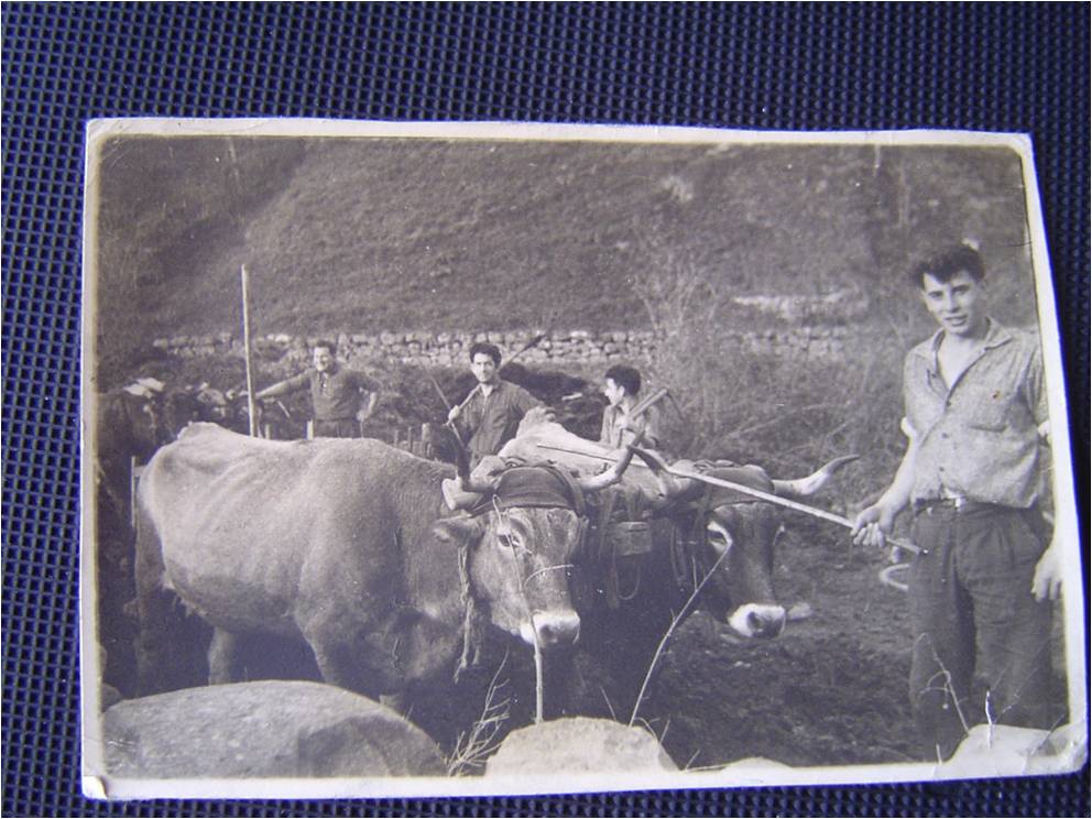 FOTOS CIEZA: VARIOS FELIPE GONZALEZ