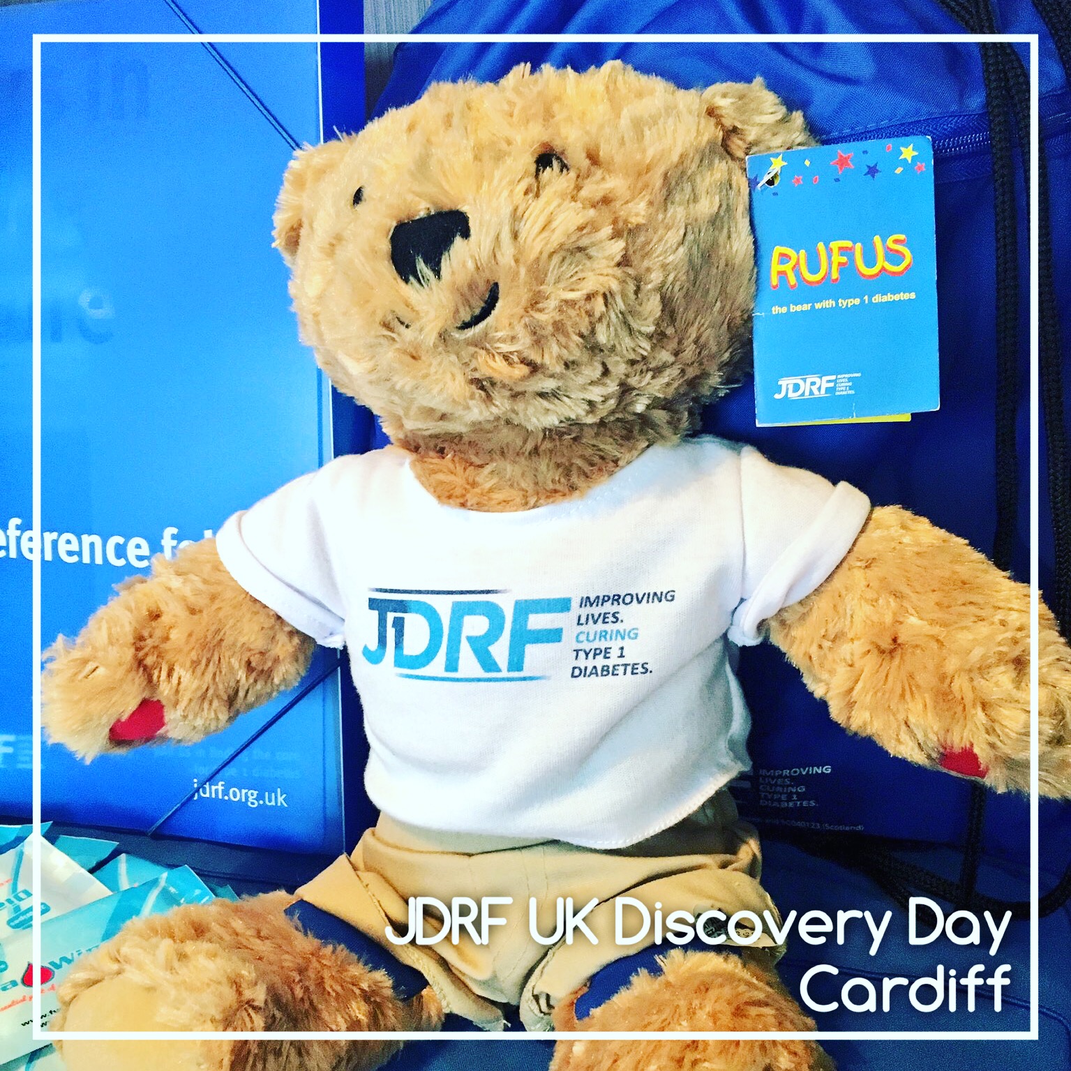 Presenting At The JDRF UK Discovery Day Cardiff 2016 | Life, Sport and ...