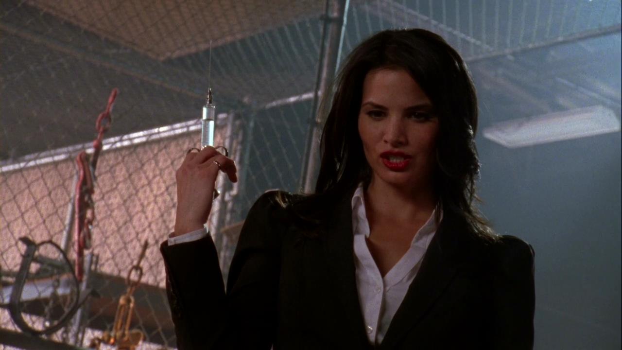 The Chuck Series Companion: Chuck Versus the Beefcake