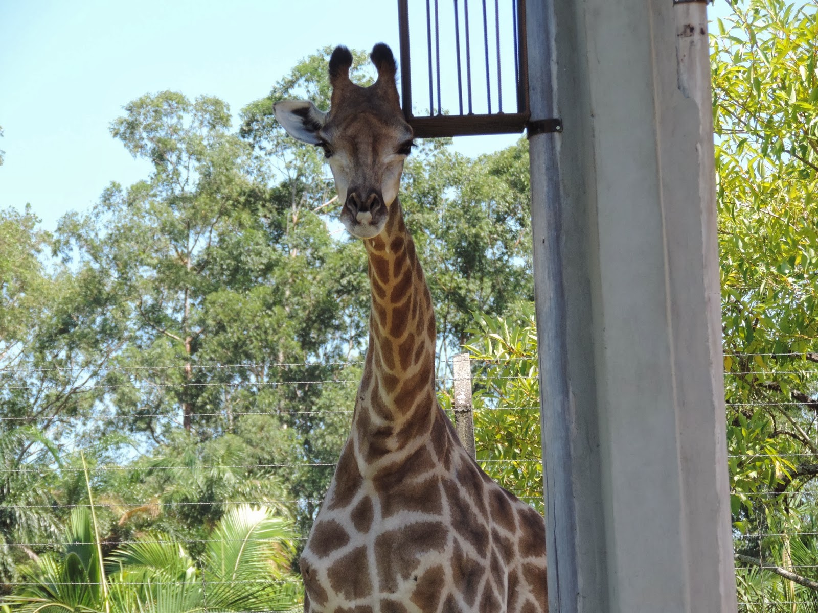 Visita técnica: Zoológico de Pomerode/SC