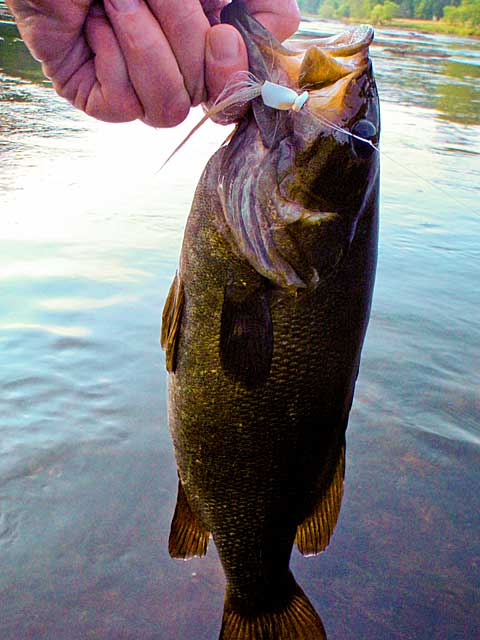 The Smallmouth Fly Box: Fly Box Hero - Jack Gartside
