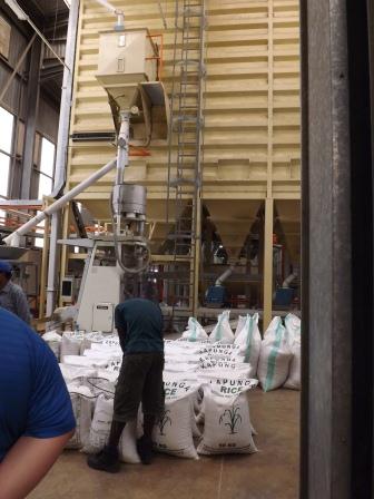 Kapunga -- The rice farm