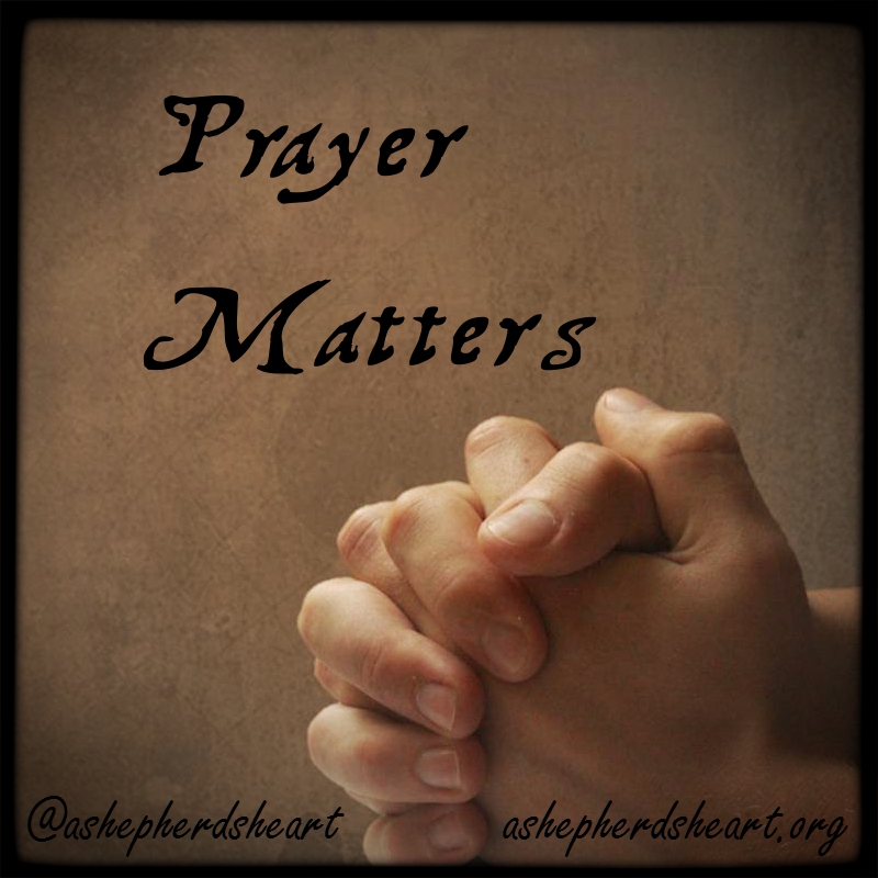 A Shepherd's Heart: A Prayer for the Employed and Underemployed ...