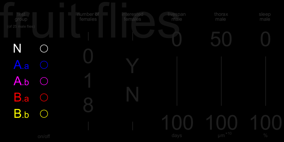 Procedural Design - Steven Molter