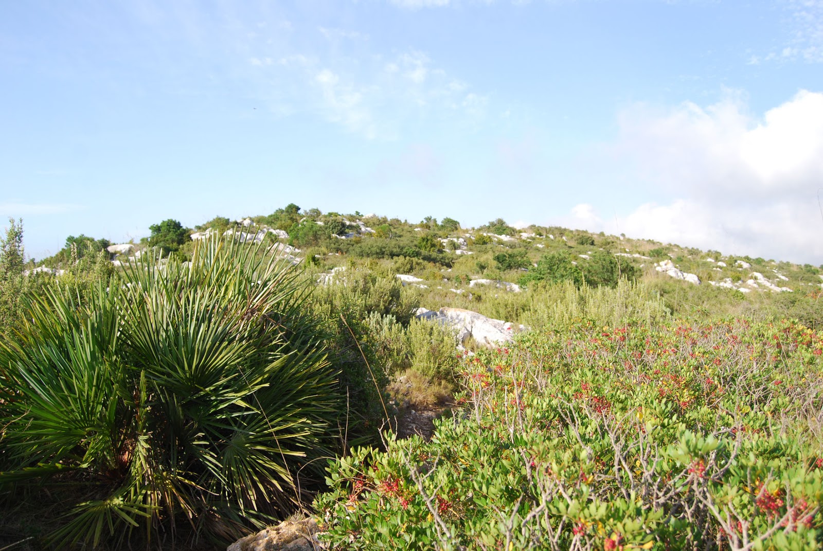 Paisatges i Jardins Landscapes and Gardens: El Parc del Garraf - Barcelona