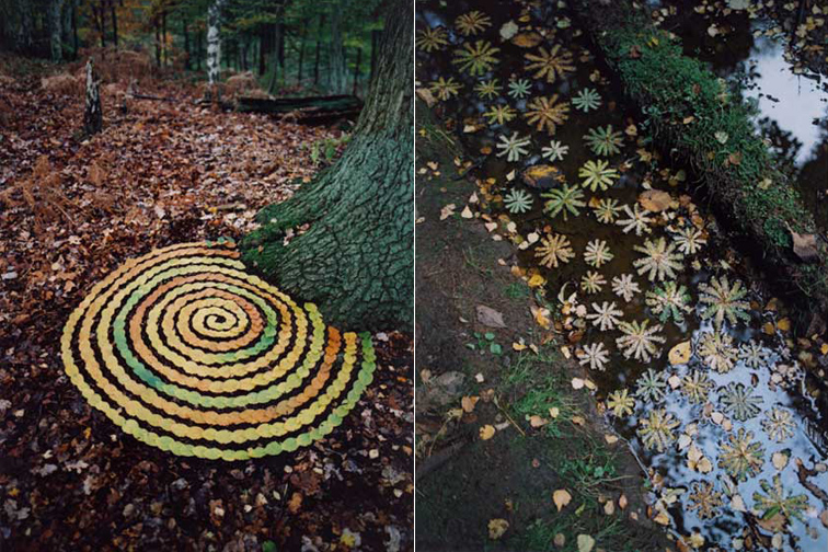 Flora Urbana: Tim Pugh