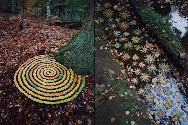 Flora Urbana: Tim Pugh