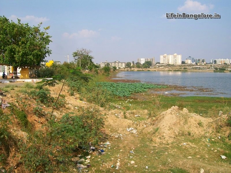 LifeinBLR - Life in Bangalore: Begur Lake Bangalore Photo Album