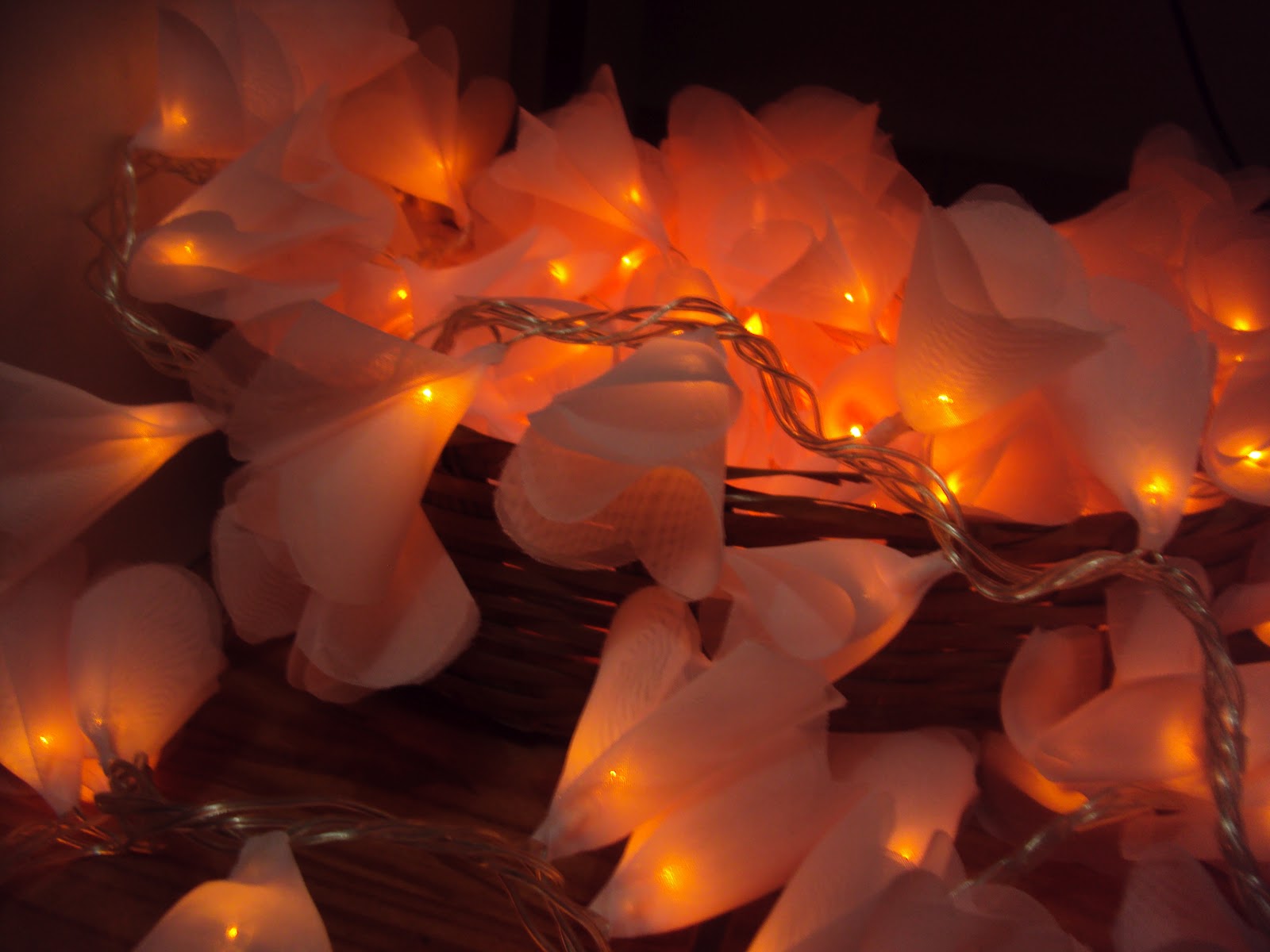 Luzes de Fadas: Luminárias Luzes de Fadas com 100 lâmpadas