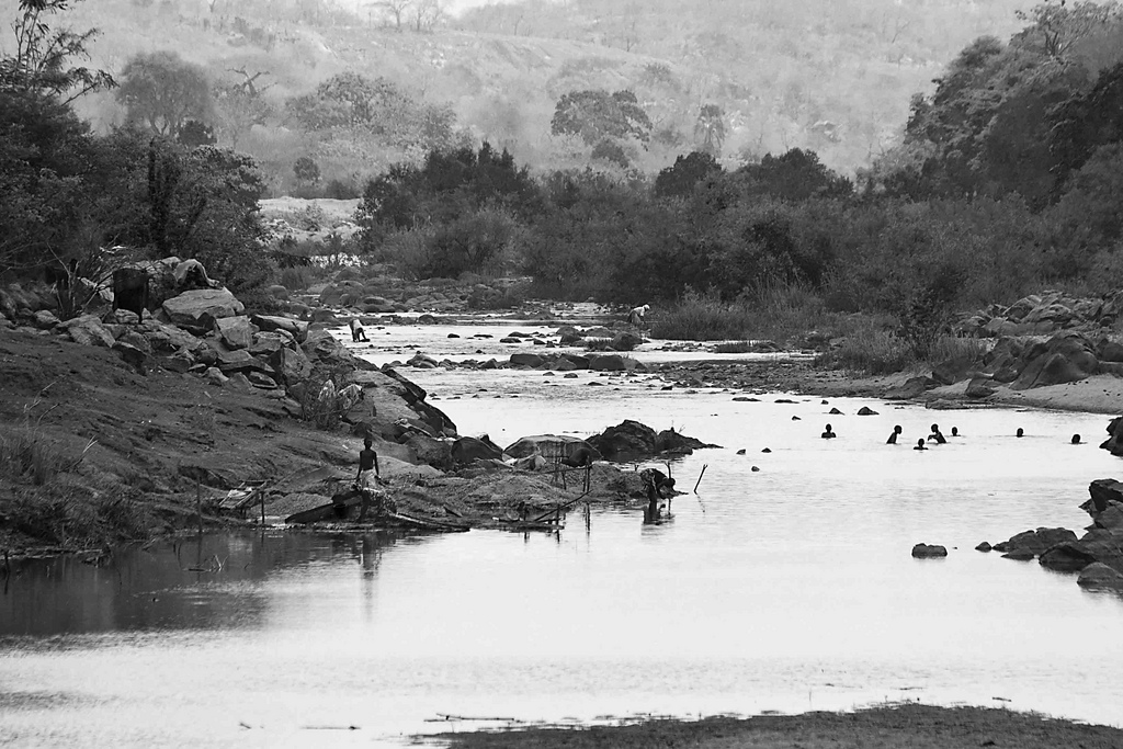 Tall Tales from the Trees: JOHN COOPER-CHADWICK (1864-1948) AND ...