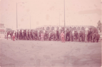 ShowMe Elephants: Ringling Bros. Blue Unit 1972