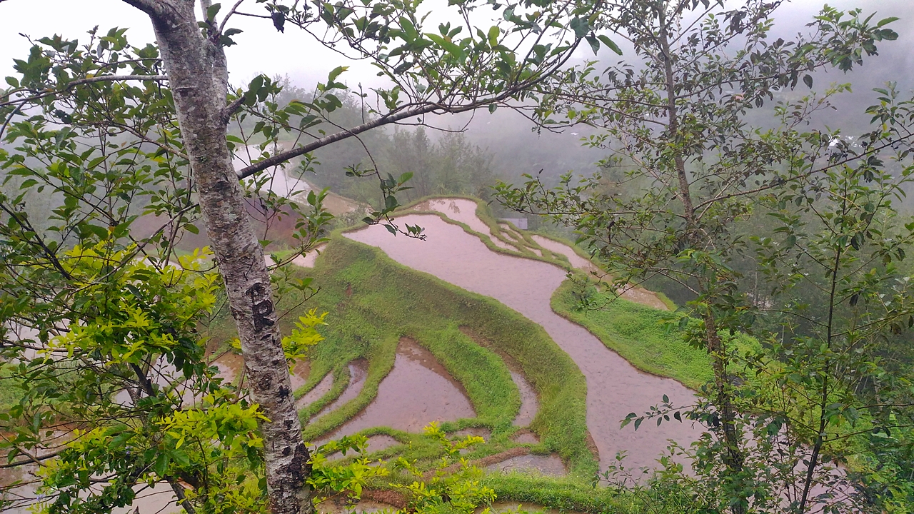 A ‘meaningful travel’ to the Highlands of Barlig, Mountain Province ...