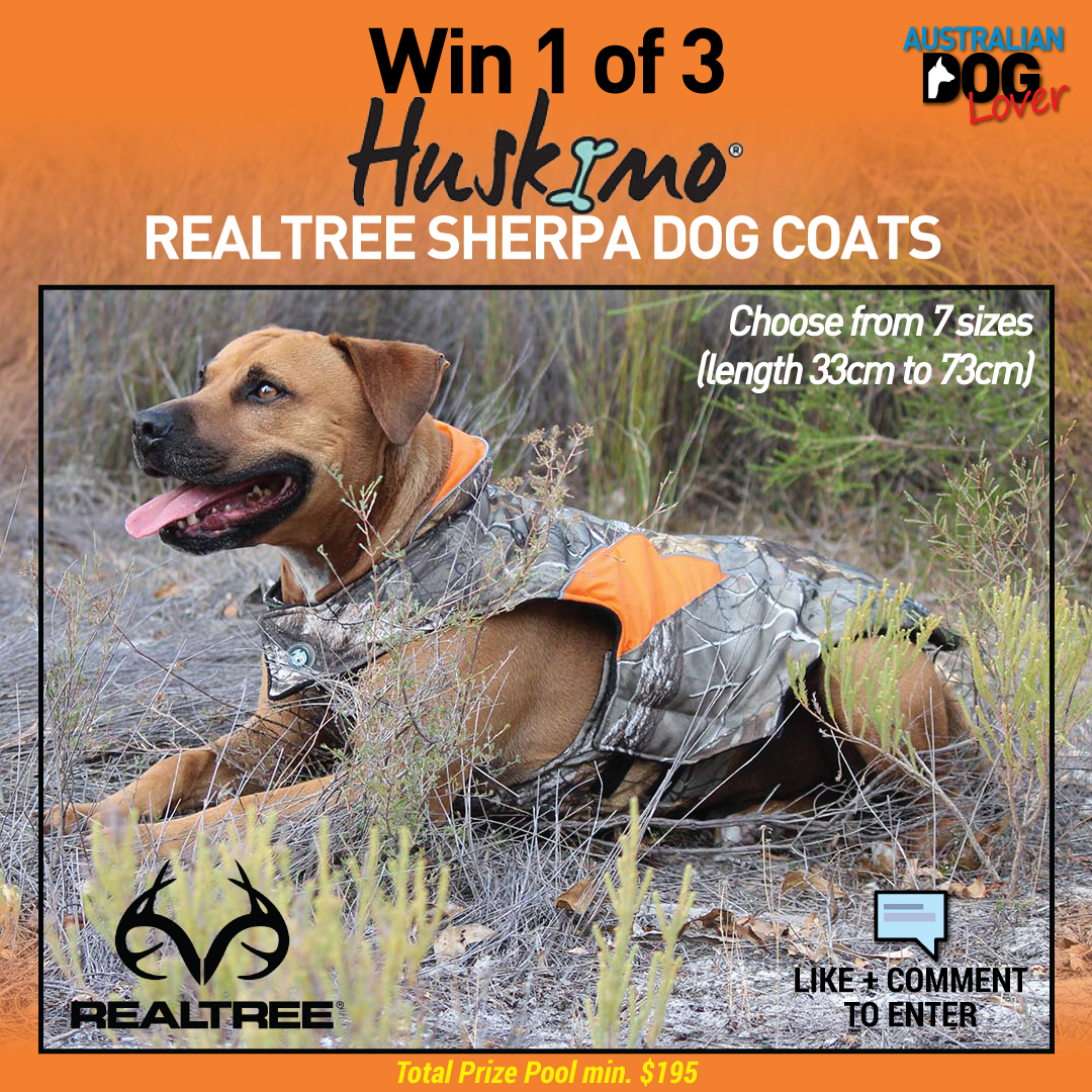Realtree Sherpa Dog Coat - Competition | Australian Dog Lover