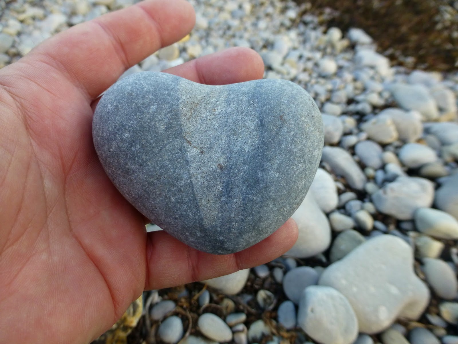 Fair Isle: Nature Lovers! Natural Heart Shapes - Valentine's Day 2013
