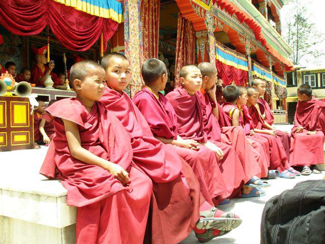 ASOCIACION CHOGAR GONG: 2010