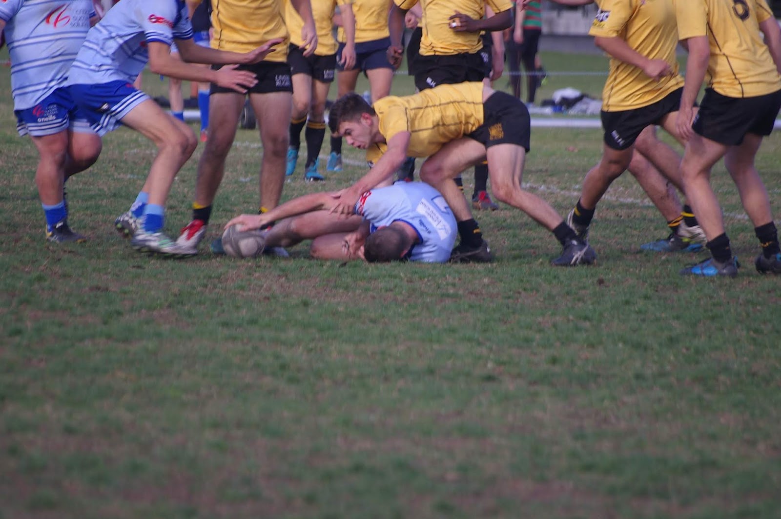 Blue Mountains Rugby Overflow: UNSW 7.7.18