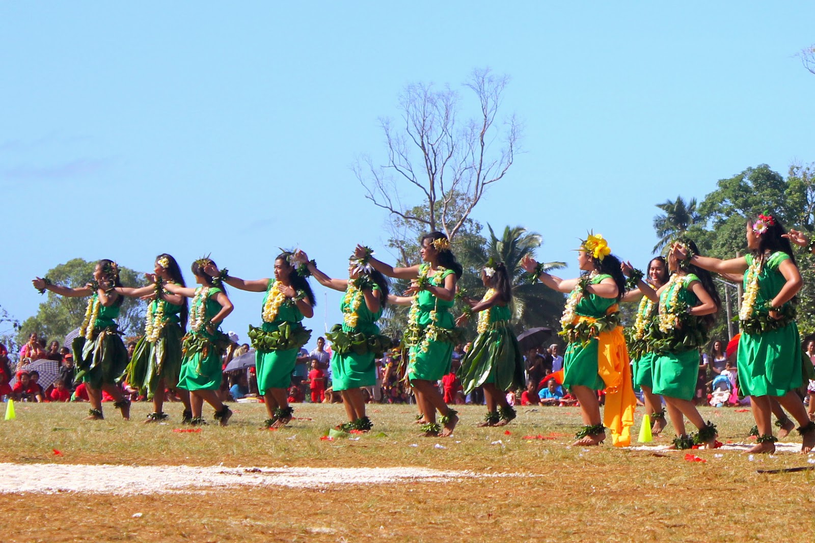 Beneath a Balcony of Stars: A Journey to Tonga: Birthday Celebration ...
