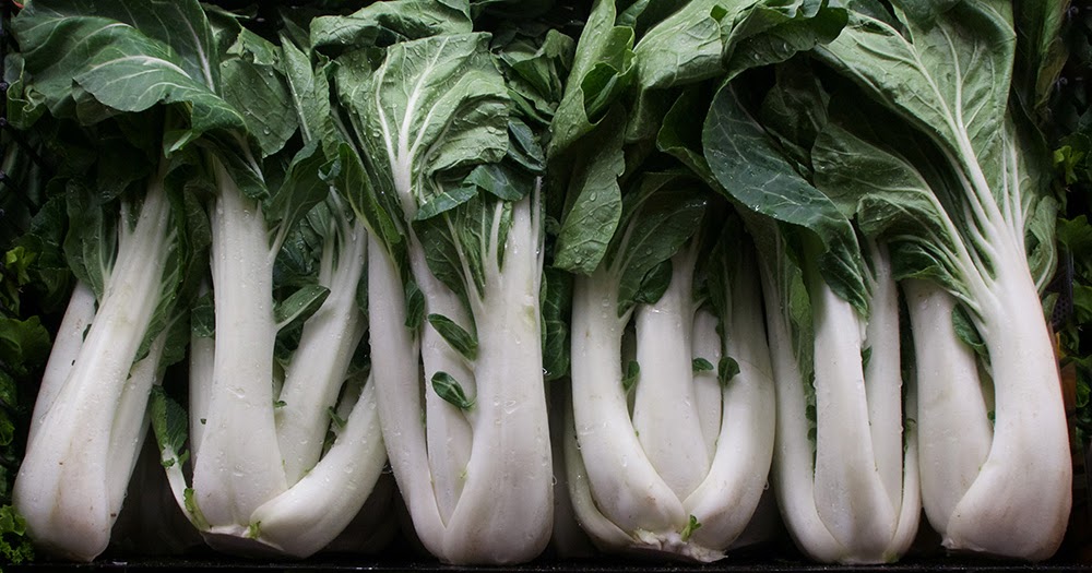 A Picture Each Day: Bok Choy