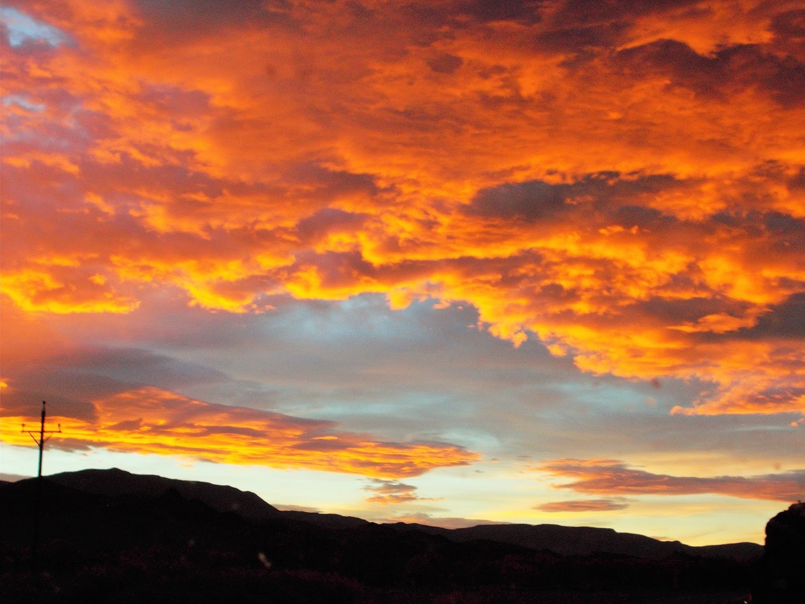 Mill Hill Meadow: ~ Shades of Gold