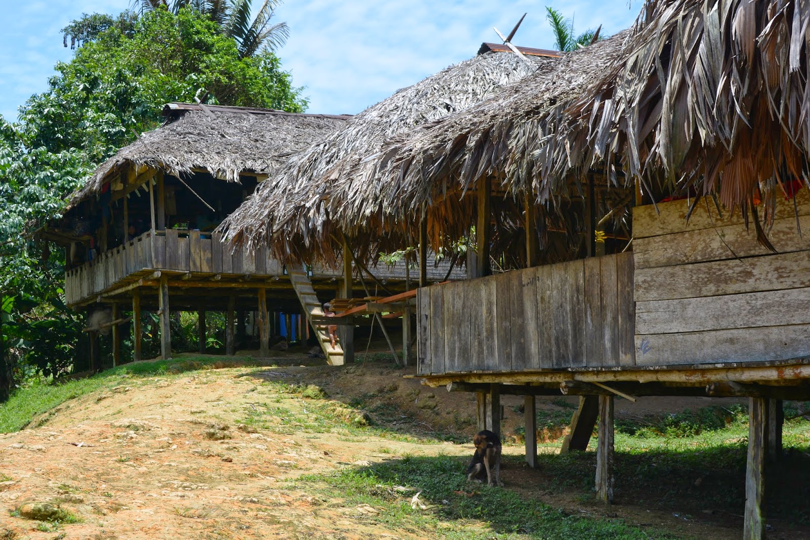 ARTESANIA WOUNAAN: CULTURA EMBERA WOUNAAN