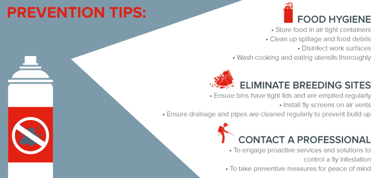 House Fly Diseases, Types, Spread and Prevention