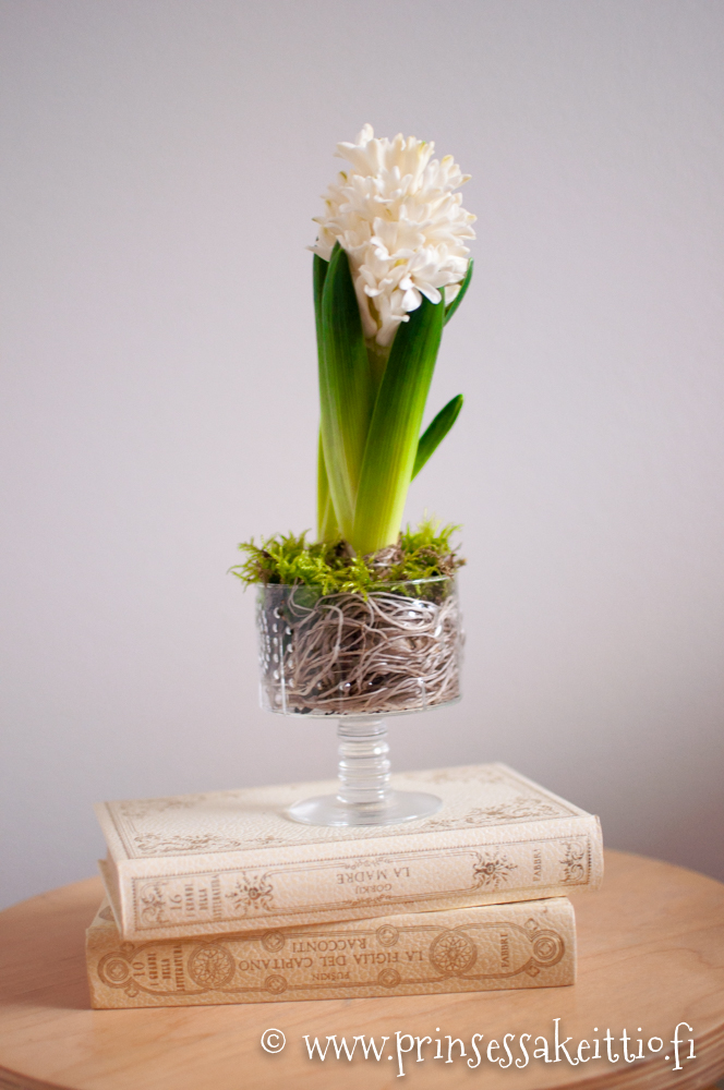 Prinsessakeittiö: Joulukukka-asetelmat DIY - 8. luukku