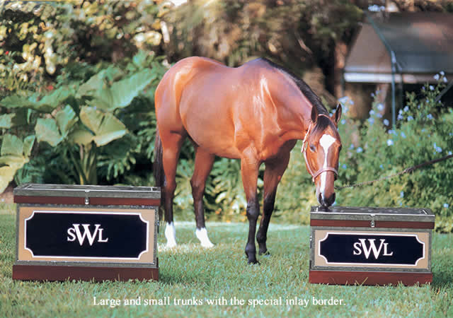 Horse Country Chic: Tack Trunks