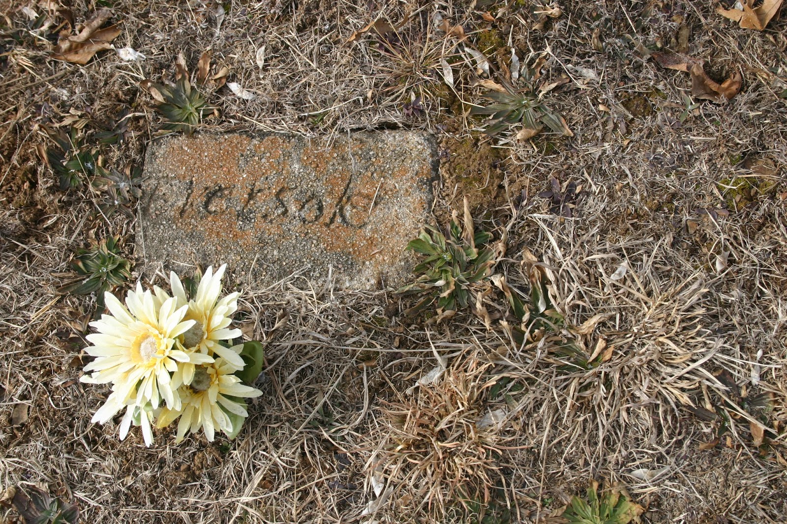 The Salt of America: Where Is Robert Eversole? – His Life, His Family ...