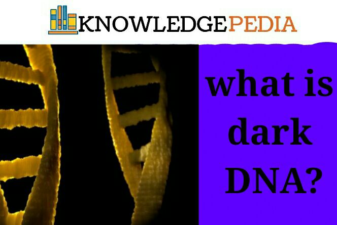 What is dark dna? Mystery of dark dna. - Knowledge pedia