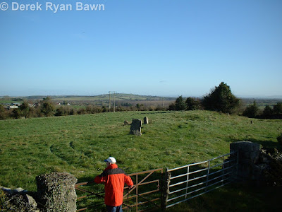 The Tipperary Antiquarian: Timoney Stones