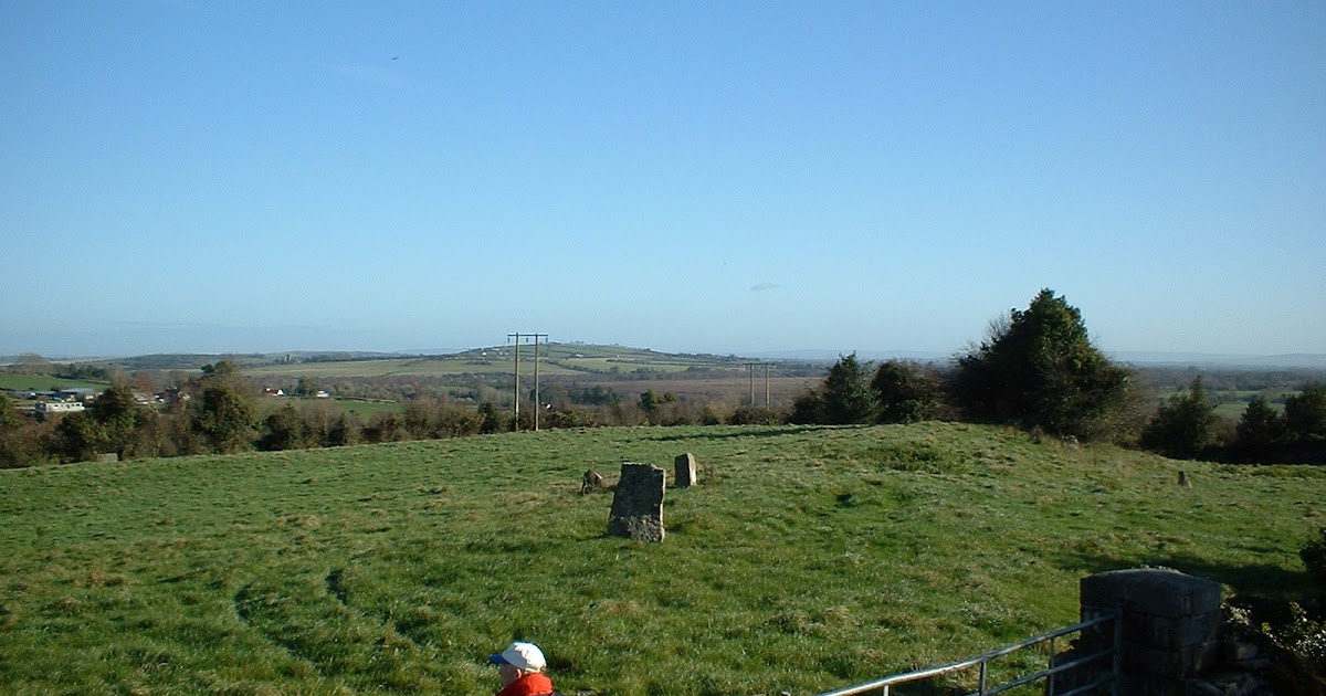 The Tipperary Antiquarian: Timoney Stones