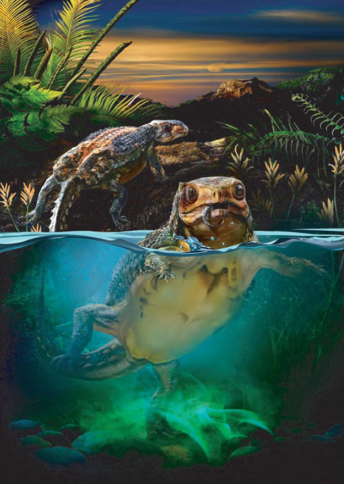 Species New to Science: [Paleontology • 2016] Liaoningosaurus paradoxus ...