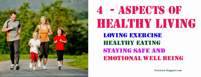 bonvictor.blogspot.com: Basic principles of healthy eating