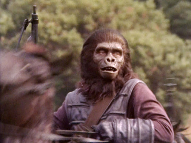 Archives Of The Apes: Planet Of The Apes (1968): The Hunt