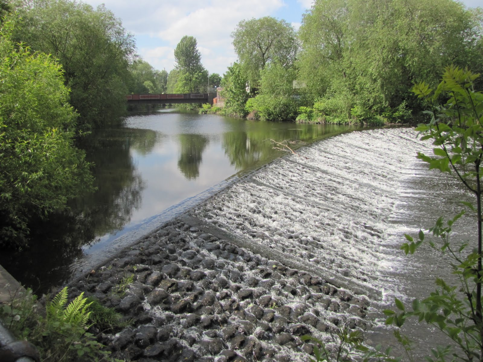 Trev's travails: Five Weirs to Meadowhall and back