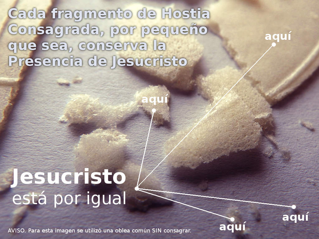 DAVID EUCARISTÍA: Tomemos cuidado para que ningún fragmento de la ...