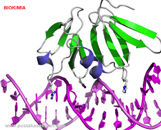 BIOKIMIA - Special Pengetahuan