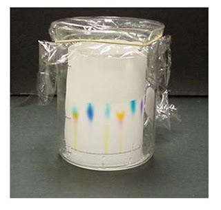 Paper Chromatography