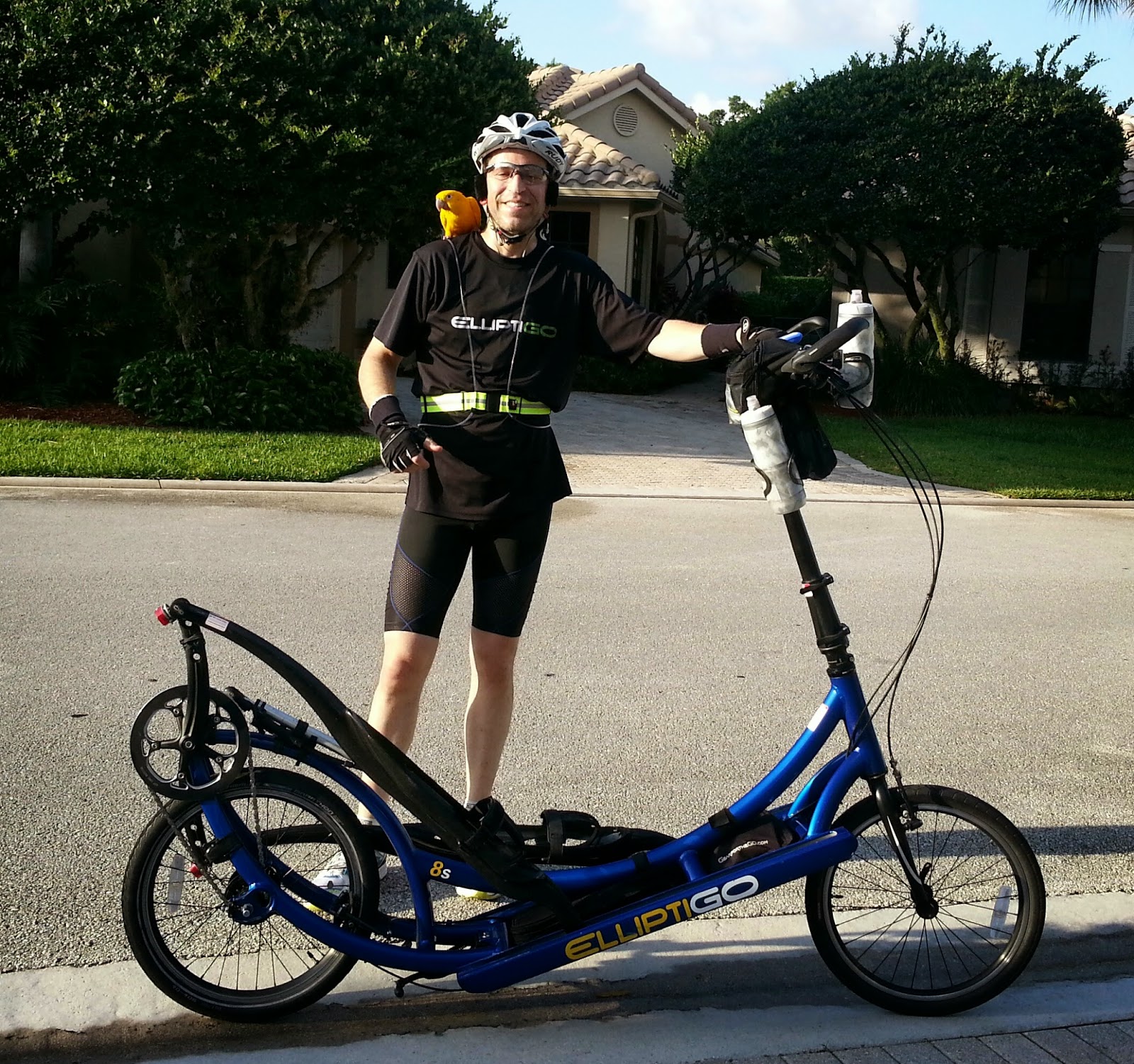 All about stand up riding, exercising and tips!: Day 20 - Everyday In ...