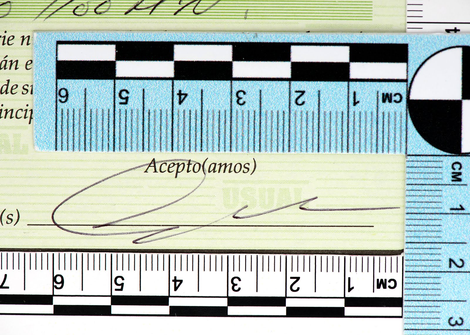 Consultor en Grafoscopia, Documentoscopia y Dactiloscopia : Grafoscopia